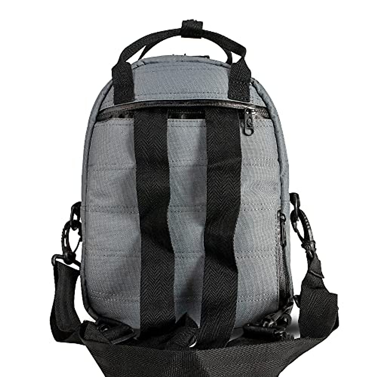 Skunk Raven Backpack (Platinum Gray)