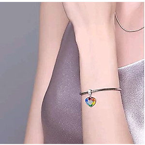 DWJSu Autism Awareness Pandora Charm Puzzle Piece Enamel ASD Bead You Fit Me Perfectly Heart Charms for European Charm Bracelet, (DW-NEW066)