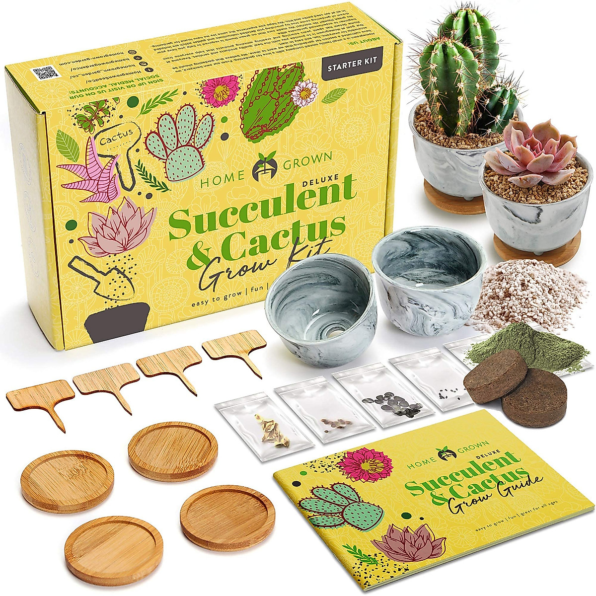 Premium Bonsai Tree and Deluxe Succulent & Cactus Seed Starter Kit - Includes a Grow Guide