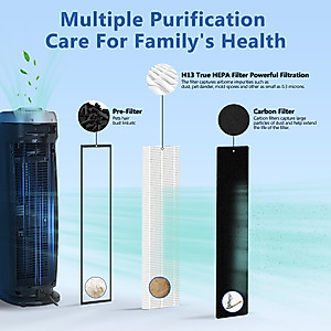 FLT4825 HEPA Filter B Replacement for Guar.dian Air Purifier AC4825 AC4300 AC4800 AC4900 AC4850, 4 HEPA Filter and 6 Pre-Filter