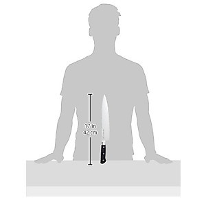Tojiro DP Gyutou - 10.5" (27cm)
