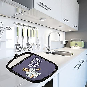 WZMPA Funny Cooking TV Show Pot Holders TV Show Fans Gift TV Show Oven Mitts It's Raw Kitchen Oven Glove BBQ Gloves for Friend Family (It's Raw Holder)