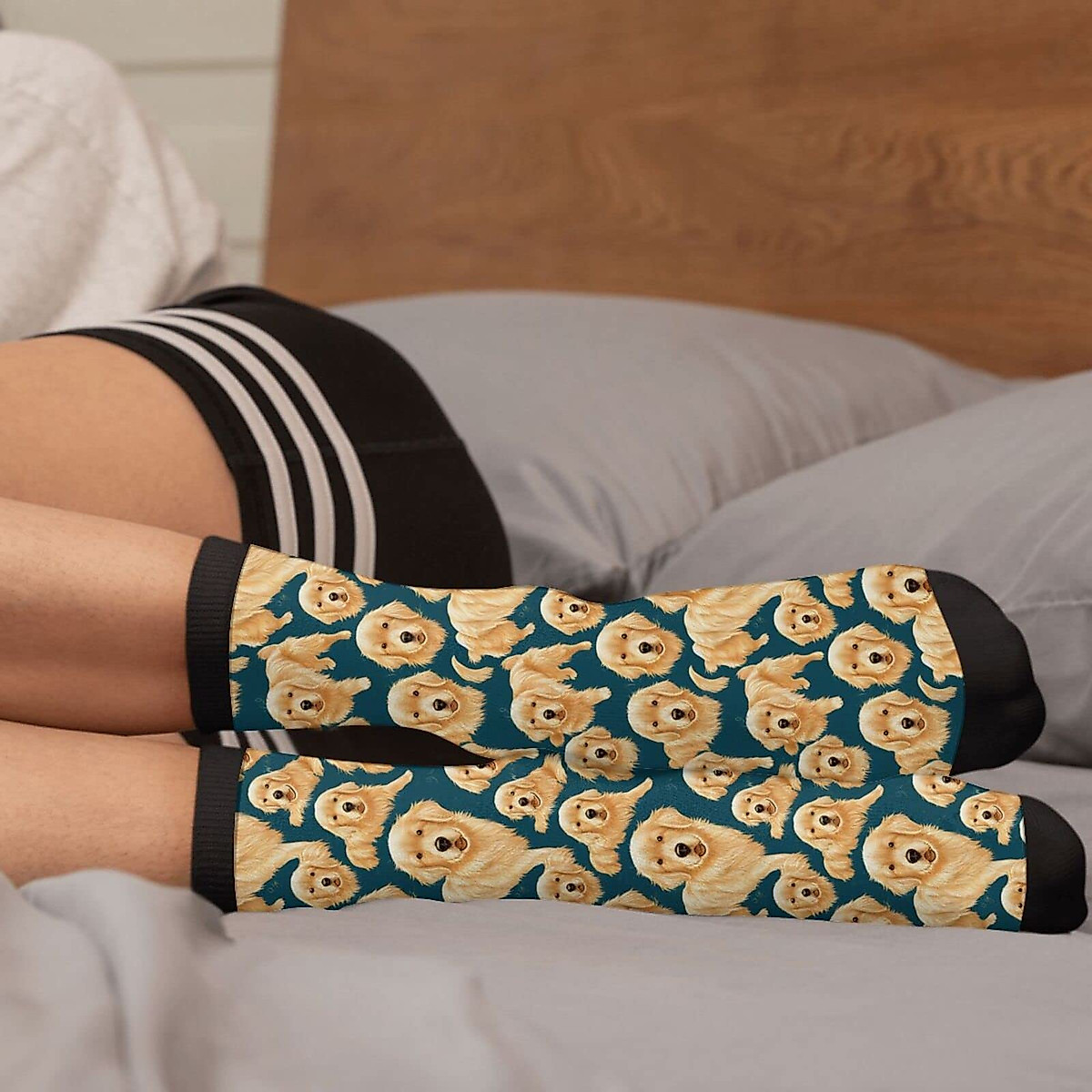 Sigouyinei Cute Golden Retriever Yellow Labrador Labradors Puppy Dog Animal Casual Funny Funky Novelty Socks For Men Women