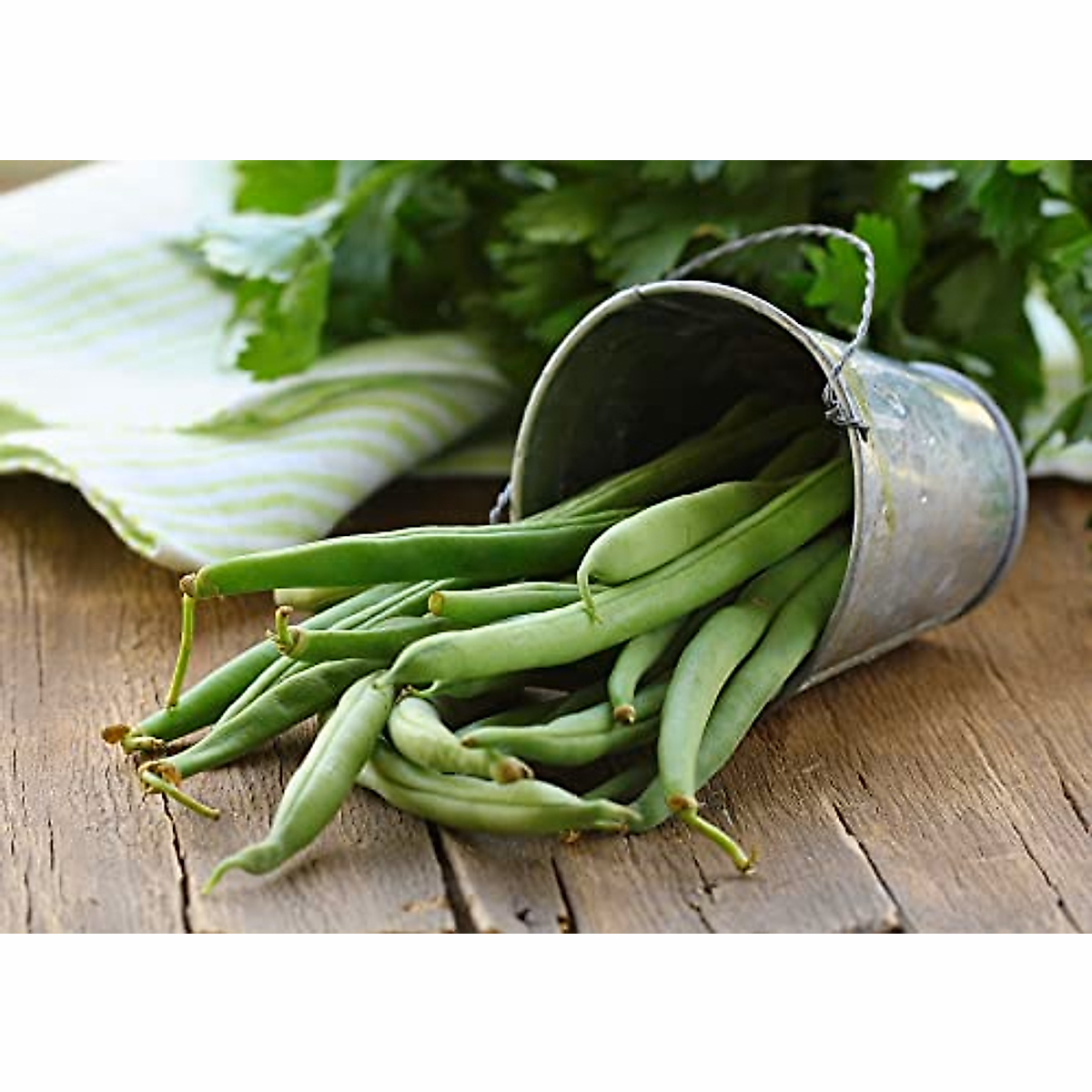 "Slenderette" Bush Bean Seeds for Planting, 50+ Heirloom Seeds Per Packet, (Isla's Garden Seeds), Non GMO Seeds, Scientific Name: Phaseolus vulgaris, Great Green Bean Variety for Home Garden