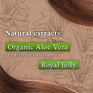 Tio Nacho Shampoo, 14 Oz - Organic Aloe Vera Deep Repair, Paraben Free, Silicone Free, for Dry Damaged Frizzy Hair