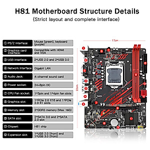 MACHINIST LGA 1150 Motherboard, H81 Micro ATX Intel 4th Gen Gaming Motherboard for Desktop PC Support 1333/1600MHz DDR3 Dual Channel Max 16G, i3 i5 i7/Xeon E3 V3 Processor, NGFF M.2, SATA 3 H81M-PRO