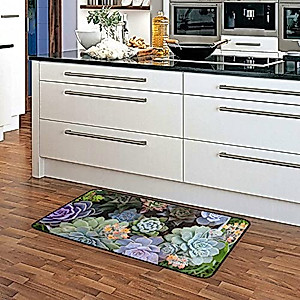 KFBE Succulents Plant Area Rugs 39x20 inch Carpet for Kitchen, Bathroom, Laundry Room, Bedroom (20809835)