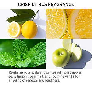 Fekkai Apple Cider Detox Clarifying Scrub - 2 oz - Scalp Treatment - Removes Build-Up & Exfoliates - For All Hair Types - Vegan, Cruelty-Free