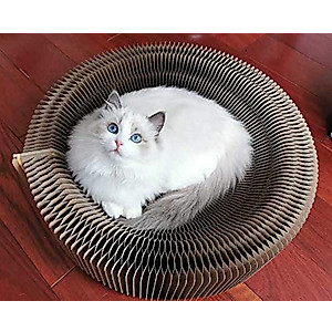 BobbyPet Cat Scratcher Lounge Bed - Collapsible Round Shape for Big cat