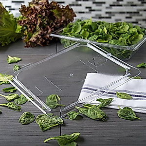 Carlisle FoodService Products 10236U07 StorPlus Half Size Polycarbonate Universal Flat Surface Food Pan Lid, Clear