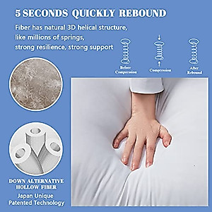 Homemate Bed Pillows for Sleeping - Queen Size(20"x28") Set of 2 Hotel Quality Pillows Allergy Friendly Microfiber Shell Fluffy Down Alternative Filling Pillow Suitable Back Stomach or Side Sleepers