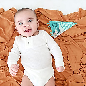 Lucy Darling Petit Milestone Pennants, 12 Felt Baby Monthly Milestone Banners for Baby Girl & Boy, Newborn Photography Props & Decor, Felt Pennant Flags, Perfect Baby Shower Gifts (Little Camper)