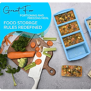 ZIP STANDING Silicone Freezer Trays with Lid,1-cup Soup Freezer Container large Ice Cube Molds with Reinforced Steel Ring Top for freezing Soup Sauce Broth Leftovers oven Dishwasher -Safe(2-Pack)