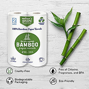 Bamboo Paper Towels - 2 Rolls of Paper Towels - 2-Ply Made From Tree-Free, 100% Bamboo Fibers - Eco-Friendly, 100% Biodegradable Packaging - Silky, Soft, and Sustainable Packaging May Vary