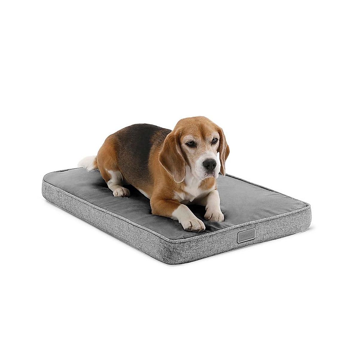 Diggs Snooz Memory Foam Dog Bed - Ideally Sized Revol Dog Crate Pad - Premium Orthopedic Pet Bed for Crate or Home - Grey, Medium