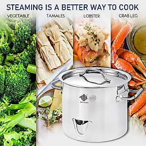 ARC 20QT Stainless Steel Tamale Steamer Pot w/Easy-fill Water Spout, Seafood Crab Steamer with Divider and Steamer Rack, 5 Gallon