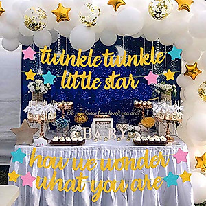 Twinkle Twinkle Little Star How We Wonder What You Are Banner Gender Reveal Decorations He or She Pink Blue Gold Star Baby Shower Party Supplies Glitter Décor Pre-Strung
