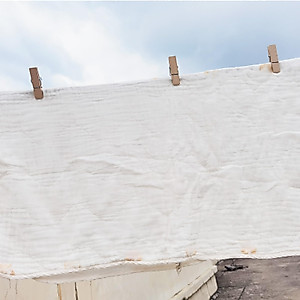 50pcs Large Wooden Clothespins 2.83 inch Length Sturdy Clothes Pins for Laundry Hanging DIY Crafts (50)