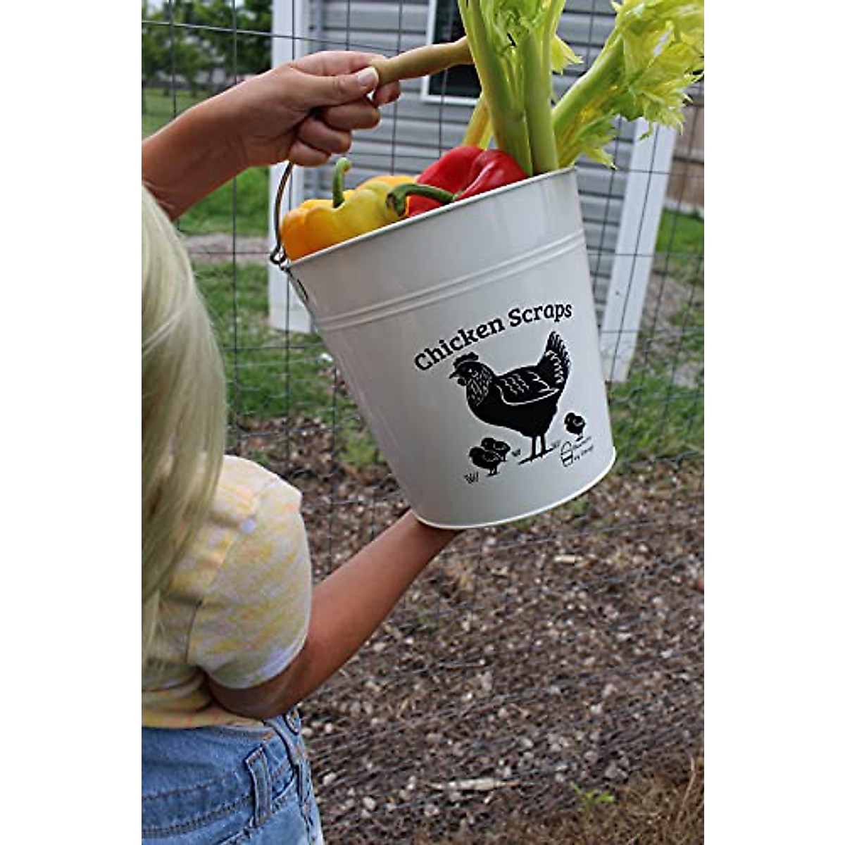 Chicken Scraps Bucket to collect your leftover food to feed your hens, roosters, feathered ladies, chicken friends chicks, free-ranged chickens, roos, or whatever you call your chickens (Chicken)