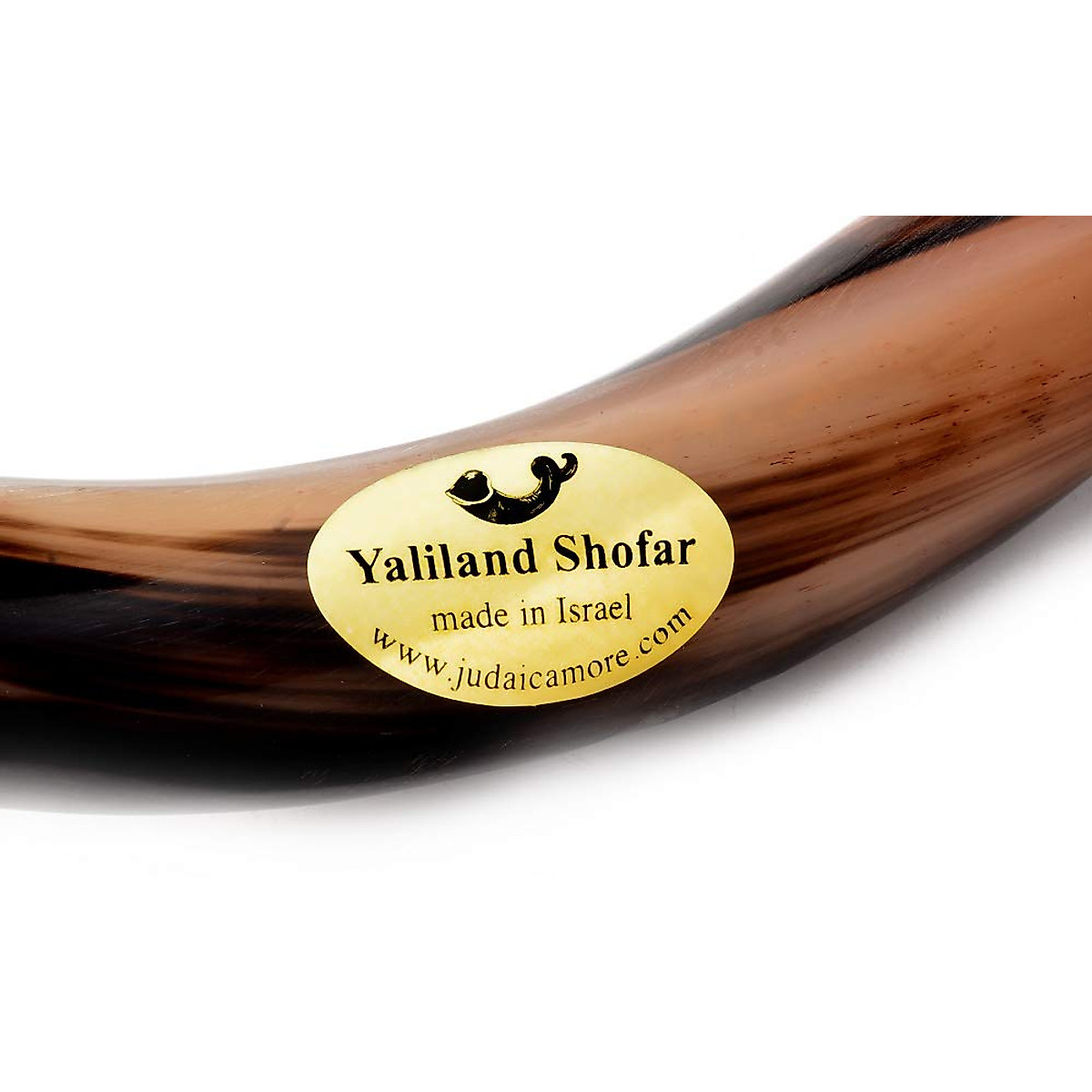 Yemenite Kudu Horn Shofar Shofars with Free Anti Odor Spray, guide Shofar from Israel (26"-28", Polish)