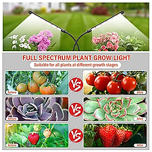 Bseah Grow Light Plant Lights for Indoor Plants, 84 LEDs Full Spectrum Clip Plant Growing Lamp, 10-Level Dimmable, Auto On Off Timing 3 9 12Hrs