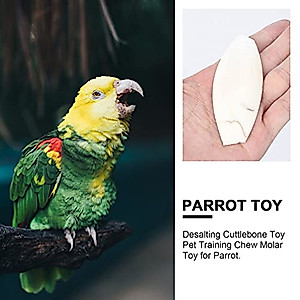 30pcs Parrot Training Toys Cuttlefish Bone Pet Training Chewing Molar Toy turtle calcium