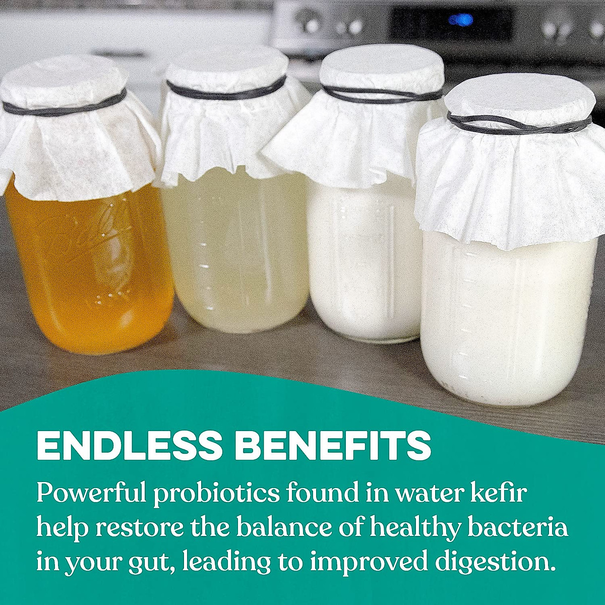 Cultures for Health Kefir Starter Culture | 4 Packets Freeze Dried Starter Powder | Make Kefir with Milk, Water, or Juice | Re-Culture Kefir Probiotic Drinks 2-7x Each | Cultures in Less Than a Day