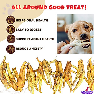 Amazing Dog Treats - Chicken Feet Dog Treats (25 Count) - All Natural Single Ingredient Chicken Feet for Dogs - Premium Quality Chicken Feet Dog Chews - Healthy Dog Treats