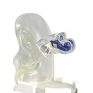 GPI Anatomicals - Clear Ear Model | Human Body Anatomy Replica of Ear for Doctors Office Educational Tool
