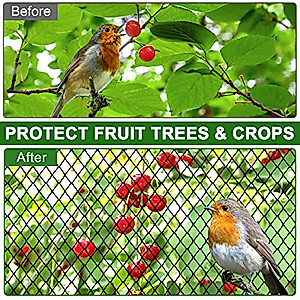 Bird Netting - 50’ x 50’ Poultry Netting with 2.4” Square Mesh for Chicken Coop, Bird Netting for Garden Protection, Heavy Duty Nylon Garden Mesh Netting for Fruit Tree Against Aviary, Deer, Squirrel