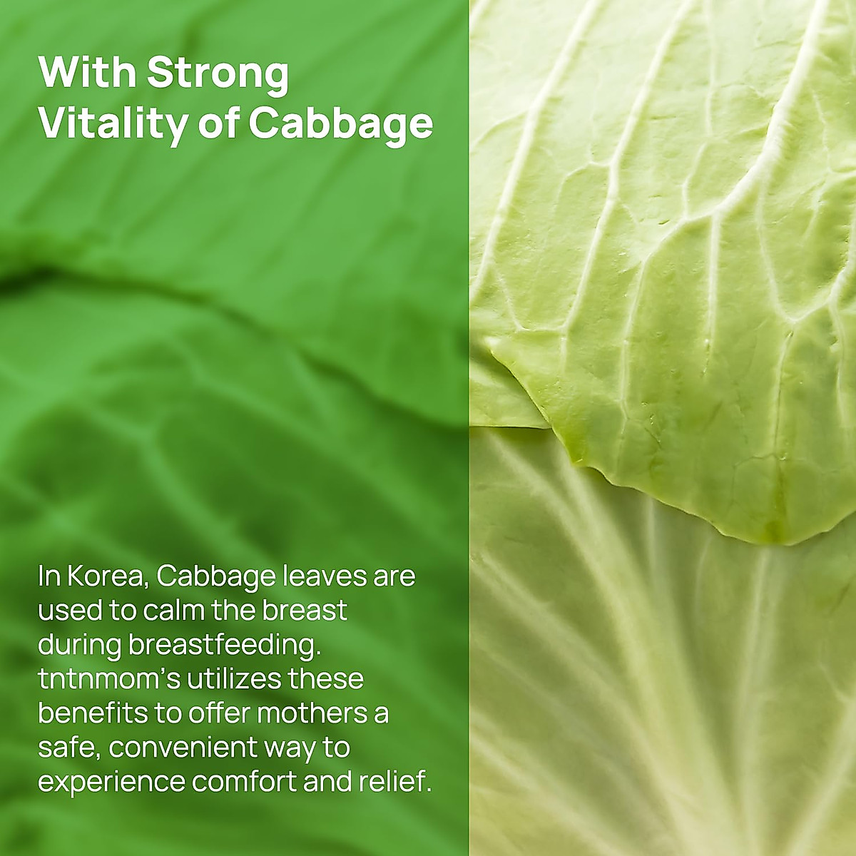 TNTN MOM'S Cabbage Breast Patch (8EA) for No More Milk Flow Dry up Stop Lactation Breast Engorgement Breastfeeding Pain Relief EWG Green Vegan Sheet Mask