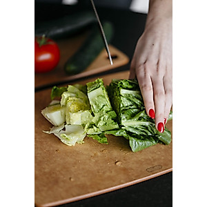 Dexas Natural Fiber Dishwasher Safe Composite Cutting Board, 14.3" x 11.2"