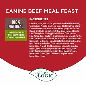 NATURE'S LOGIC Dog Food Canine Meal Feast, Beef