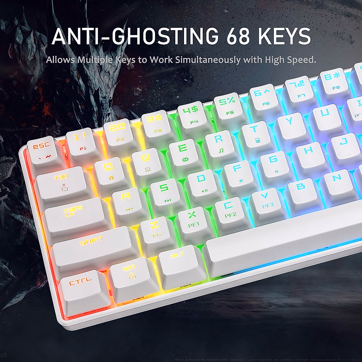 LexonElec MK 68 60% Mechanical Gaming Keyboard,Type-C Wired Computer Keyboard,18 Chroma RGB Backlit Keyboard Blue Switches,68 Keys Anti-ghosting for Laptop PC Gamer(White RGB)