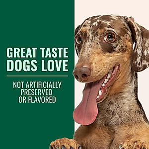 Green Lipped Mussel & Gut Health for Dogs of All Ages & Breeds