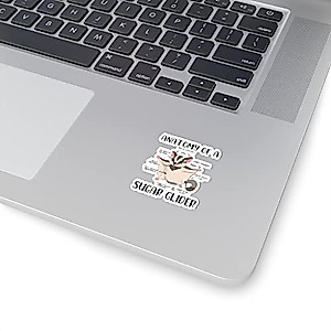 Teegarb Letter Blanket Sticker Decal Hilarious Anatomy of Glider Furry Mammal Pets Enthusiast Gliding Exotic Pet Stickers for Laptop Car 2" × 2" / Transparent