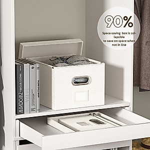 DYWMM File Organizer Collapsible Storage Box for Office File Box with Lids Document Organizer for Office and Home Easy Slide Durable Hanging File Box (Off White)