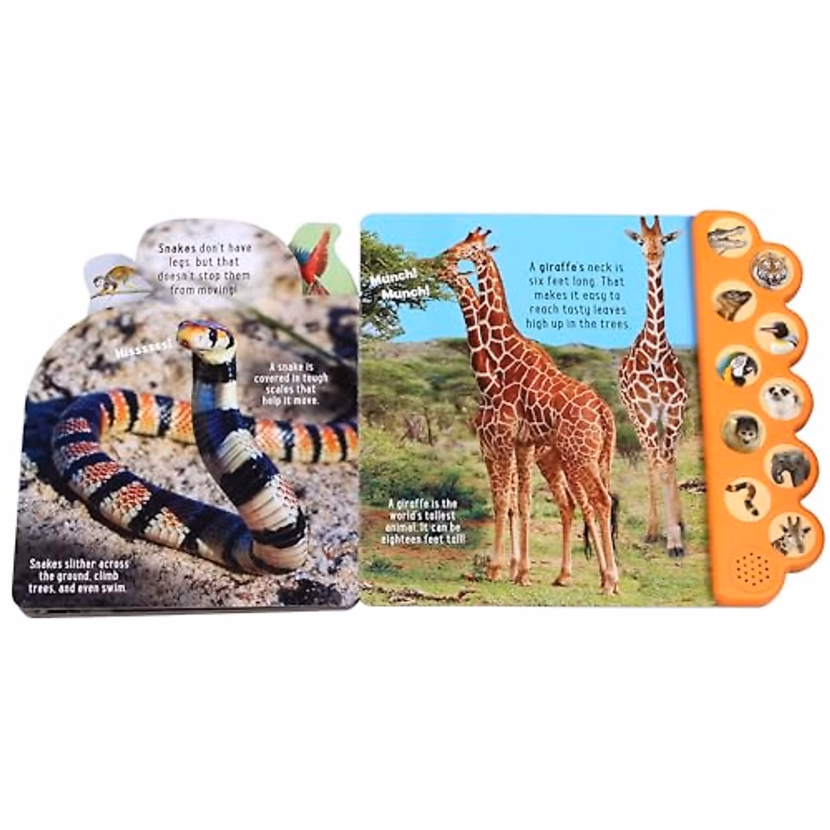 Discovery: Roar at the Zoo! (10-Button Sound Books) (Image on Book may slightly vary)