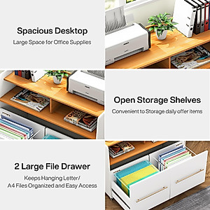 Tribesigns 2 Drawer File Cabinet Rolling Filing Cabinets for Home Office White lateral File Cabinet Wood File Cabinet for Letter Size, Printer Stand with Rolling Wheel and Open Storage Shelves