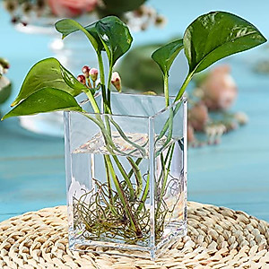 20 Pieces Acrylic Pencil Holder Clear Makeup Brush Holder Pen Holder for Desk Pencil Cup Acrylic Desk Accessories Desktop Stationery Organizer for Office School Home Supplies