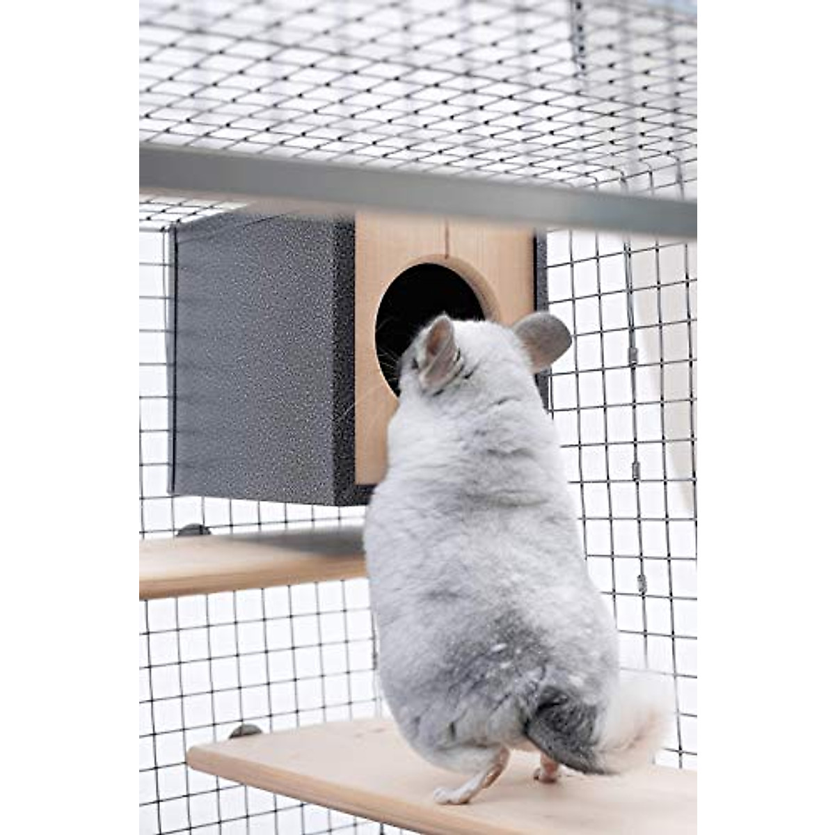 Chinchilla Nest Box - Handmade in USA