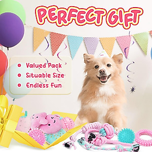 XIUGOAL Pink Puppy Toys for Boredom - 23 Pack Puppy Chew Toys for Teething, Interactive Dog Toys for Puppies, Cute Small Dog Toys with Treat Ball, Squeaky Dog Chew Toys and Ropes