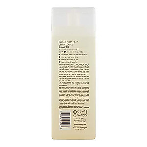GIOVANNI Eco Chic Golden Wheat Deep Cleanse Shampoo, 8.5 oz. - Deep Cleansing With Botanical Oils, Spearmint Oil + Aloe Vera, Normal To Oily Hair