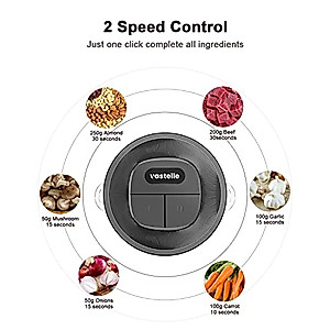 Food Processor, VASTELLE Electric Food Chopper for Meat, Vegetables, Fruits and Nuts, 8 Cup Glass Bowl Food Grinder with 2 Speed, Grey
