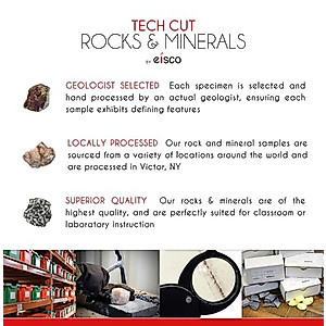EISCO 12PK Raw Limestone Chalk, Sedimentary Rock Specimens - Approx. 1" - Geologist Selected & Hand Processed - Great for Science Classrooms - Class Pack Labs