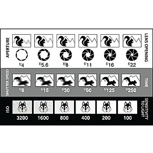 DSLR/mirrorless Photography Cheat Sheets Credit Card Size Reference Card Fits in Pocket/Wallet/Camera Bag. Aperture, Shutter Speed, Exposure Triangle & Manual Mode, for Canon, Sony & Nikon