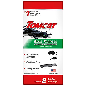 Tomcat Rat Trap with Immediate Grip Glue for Rats, Mice, Snakes, Cockroaches, Spiders, and Scorpions, Ready-To-Use, 2 Traps