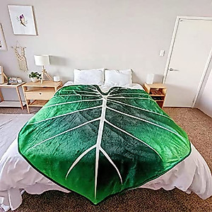 UJIKHV Large Leaf Blanket, Plush Plant Blankets, Throw Blanket for Bed, Large Lush Green Leaf Design Accent for Plant Lovers, Great Gifts for Green Thumbs, Green Blanket, (65 X 85)