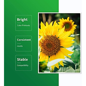 OSIR Compatible 280 281 Ink Cartridges Replacement for Canon PGI-280XXL CLI-281XXL work with Pixma TS8320 TS6320 TS6220 TR8520 TS9520 TS6120 TR7520 TS9521C Printer (PGBK, Black, Cyan, Magenta, Yellow)