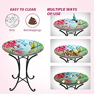 Glass Bird Baths for Outdoors, Outside Birdbaths Garden Bird Feeder with Metal Stand for Garden Patio Lawn Yard Decor 17.7" Dia 20.8” Height Dragonfly